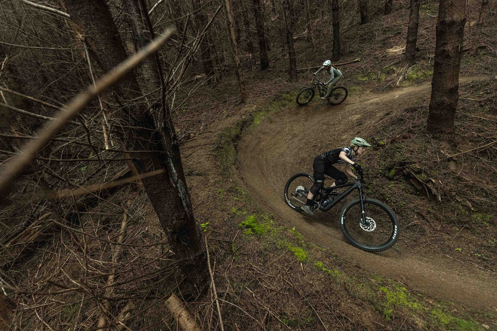 Ibis | Bici.cc - Canada's Leading Bike Retailer